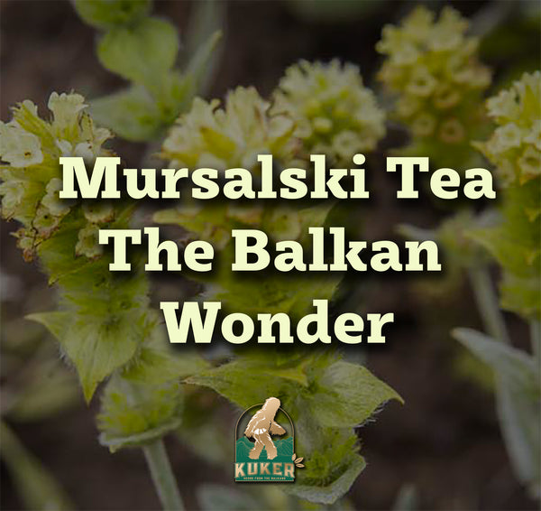 The unique Bulgarian herb - Mursal Tea - Kuker Shop