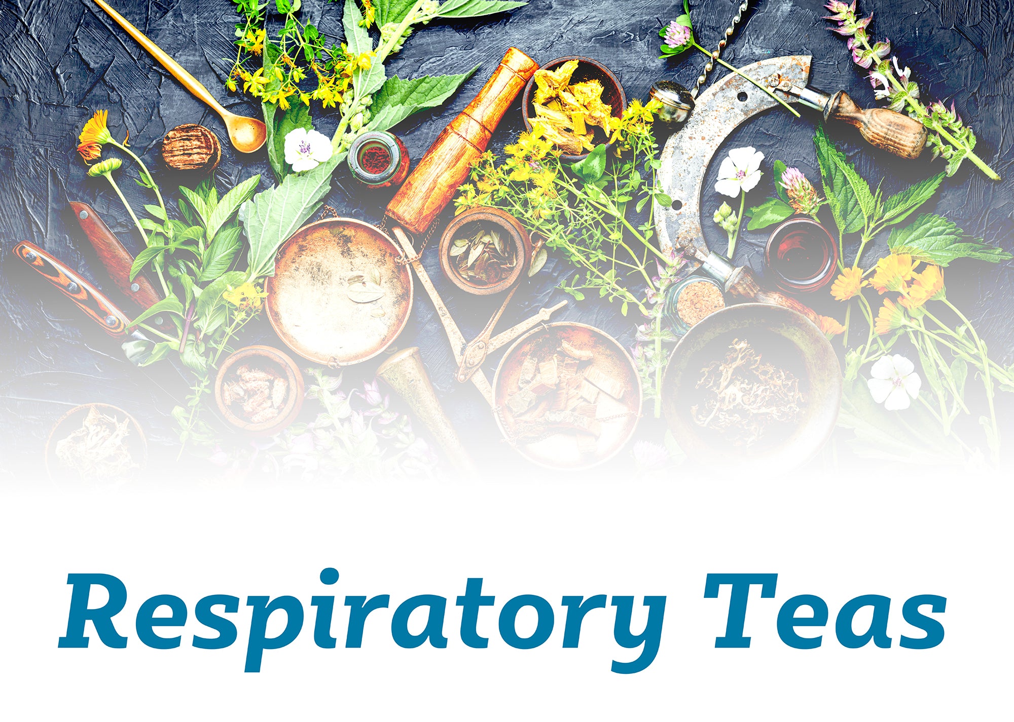 Respiratory Teas – Kuker Shop